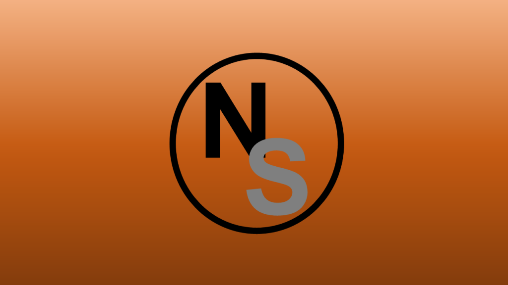 Ninterserial NS Logo | Nintersoft